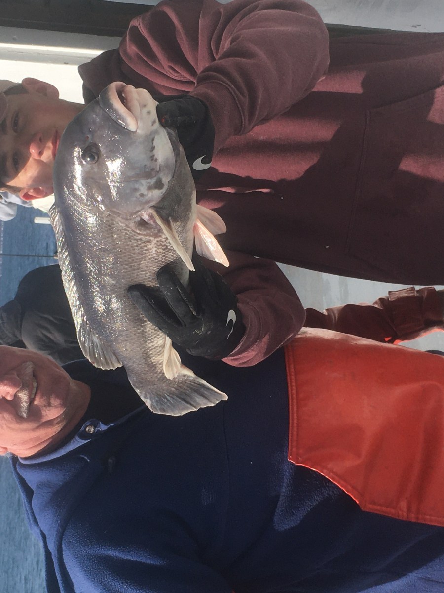 Sunbeam Fleet | Fishing Charters & Cruises in Waterford, CT