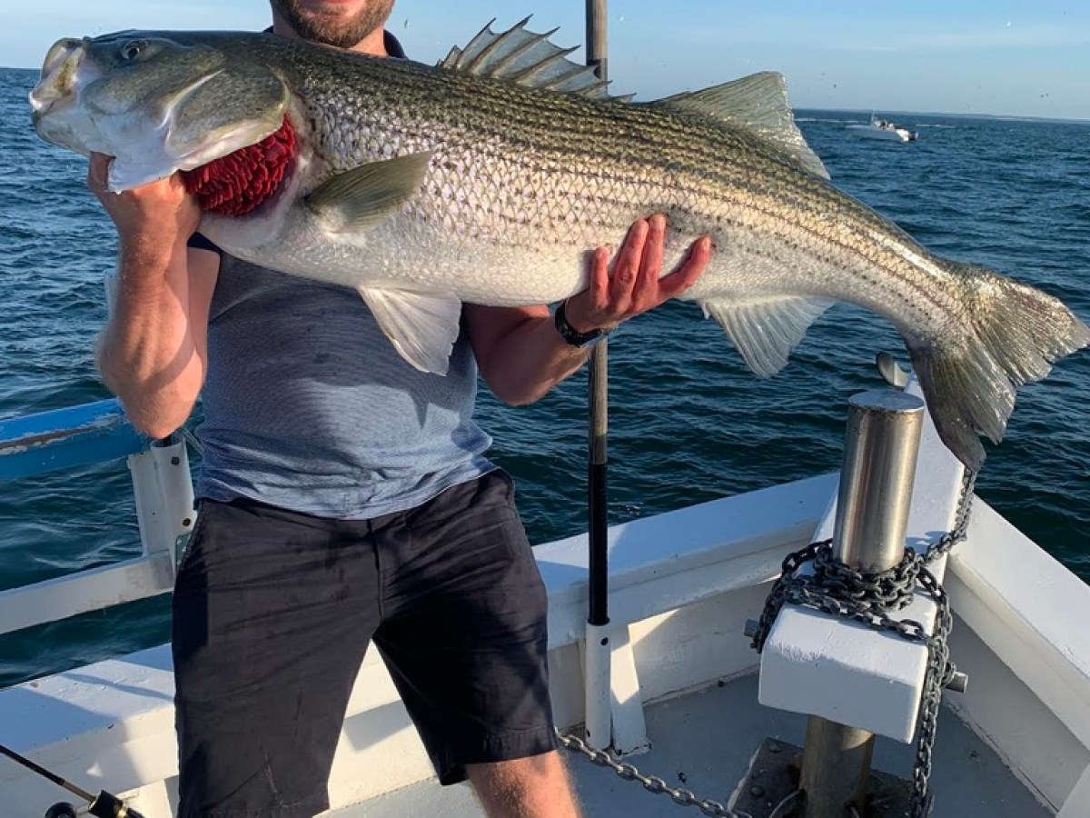 Sunbeam Fleet | Fishing Charters & Cruises in Waterford, CT