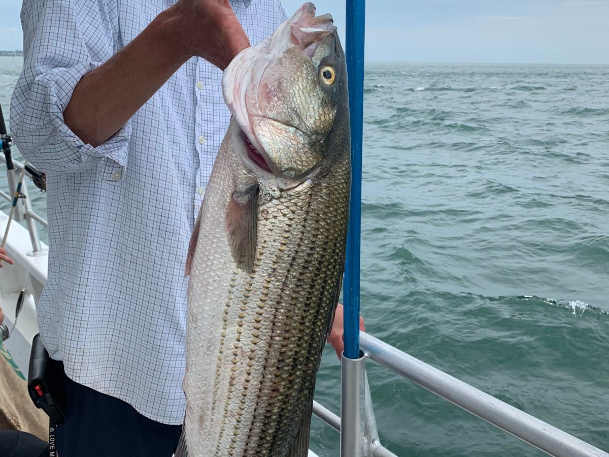 Sunbeam Fleet | Fishing Charters & Cruises in Waterford, CT