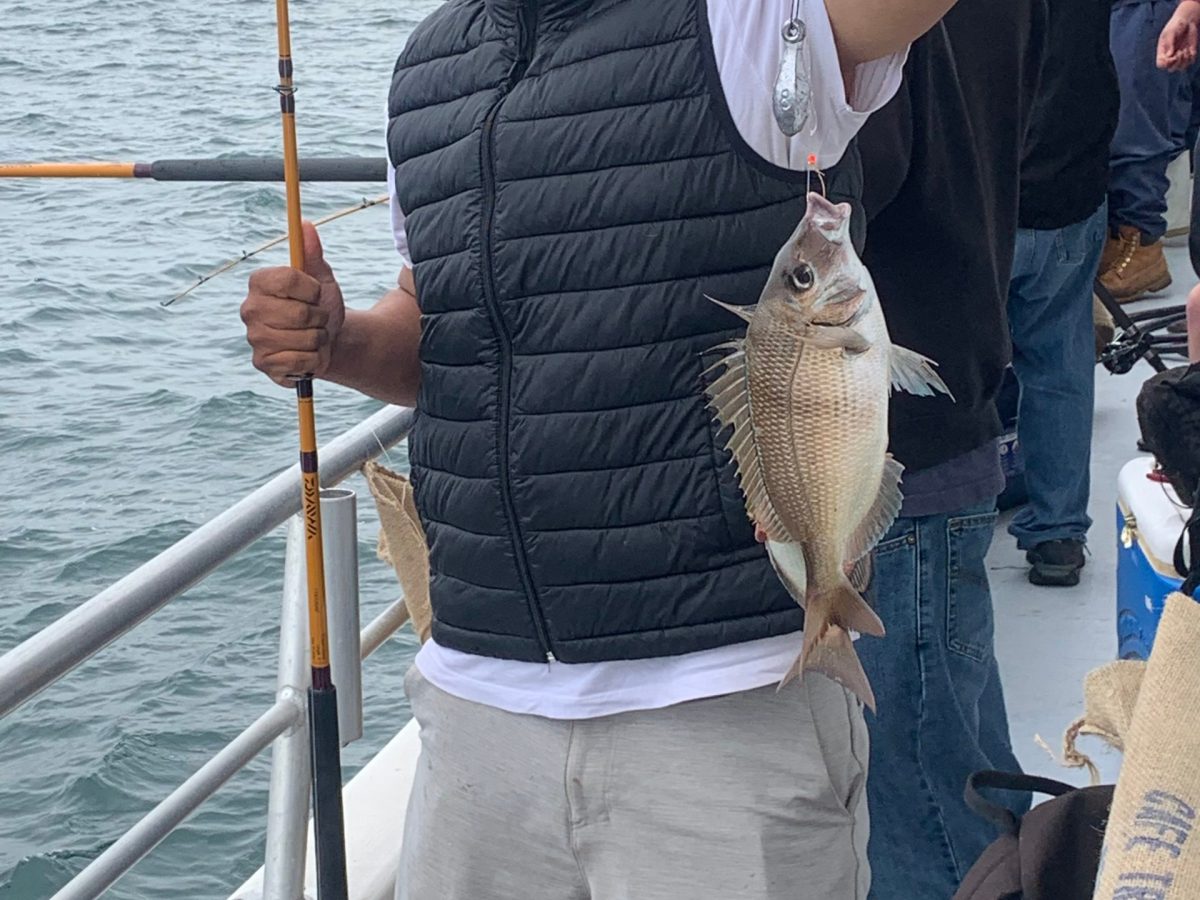 Sunbeam Fleet | Fishing Charters & Cruises in Waterford, CT