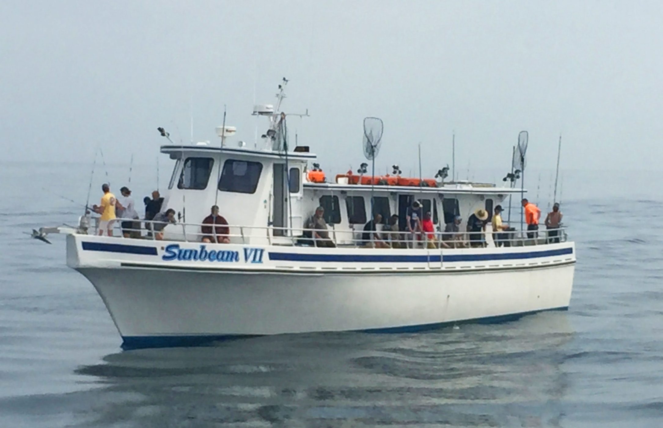 Public Fishing Charters in Waterford, CT | Sunbeam Fleet